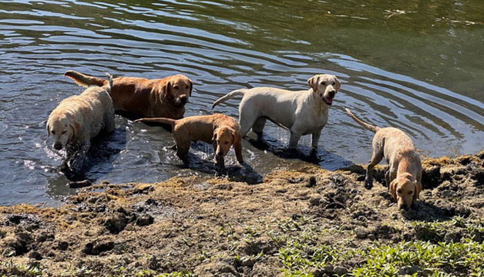 RustRidge Ranch & Winery