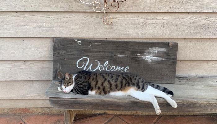 RustRidge Ranch & Winery